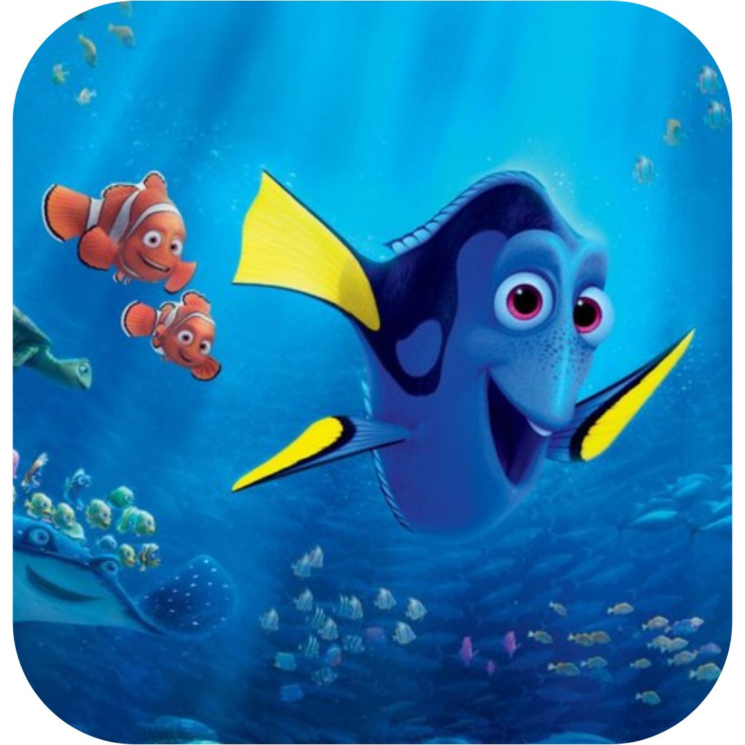 Dory – Fiesta Warehouse
